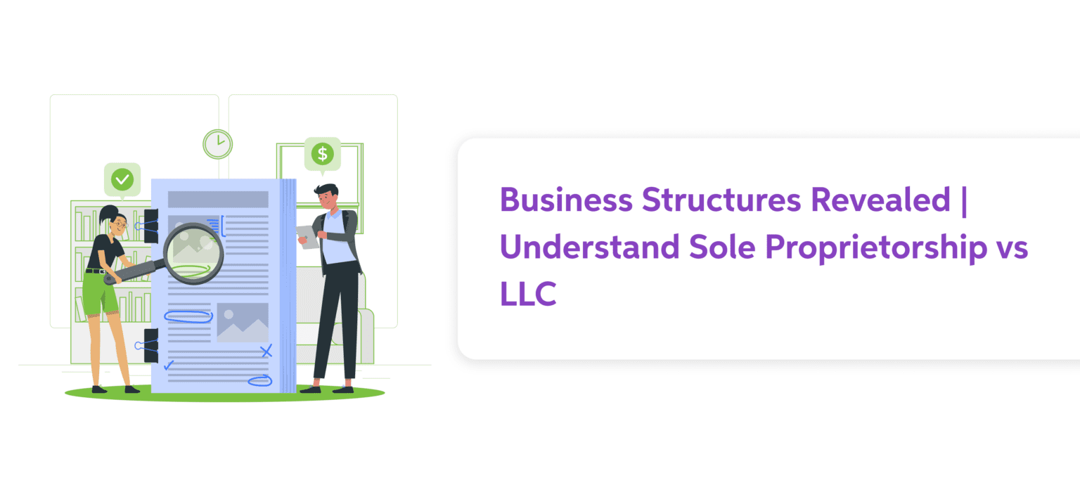 Current State of Business Verification in France