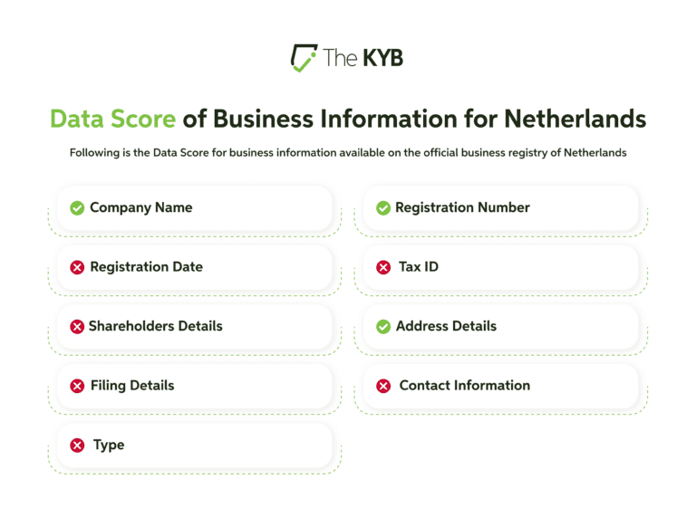 How to Verify a Company in the Netherlands? An Ultimate Guide